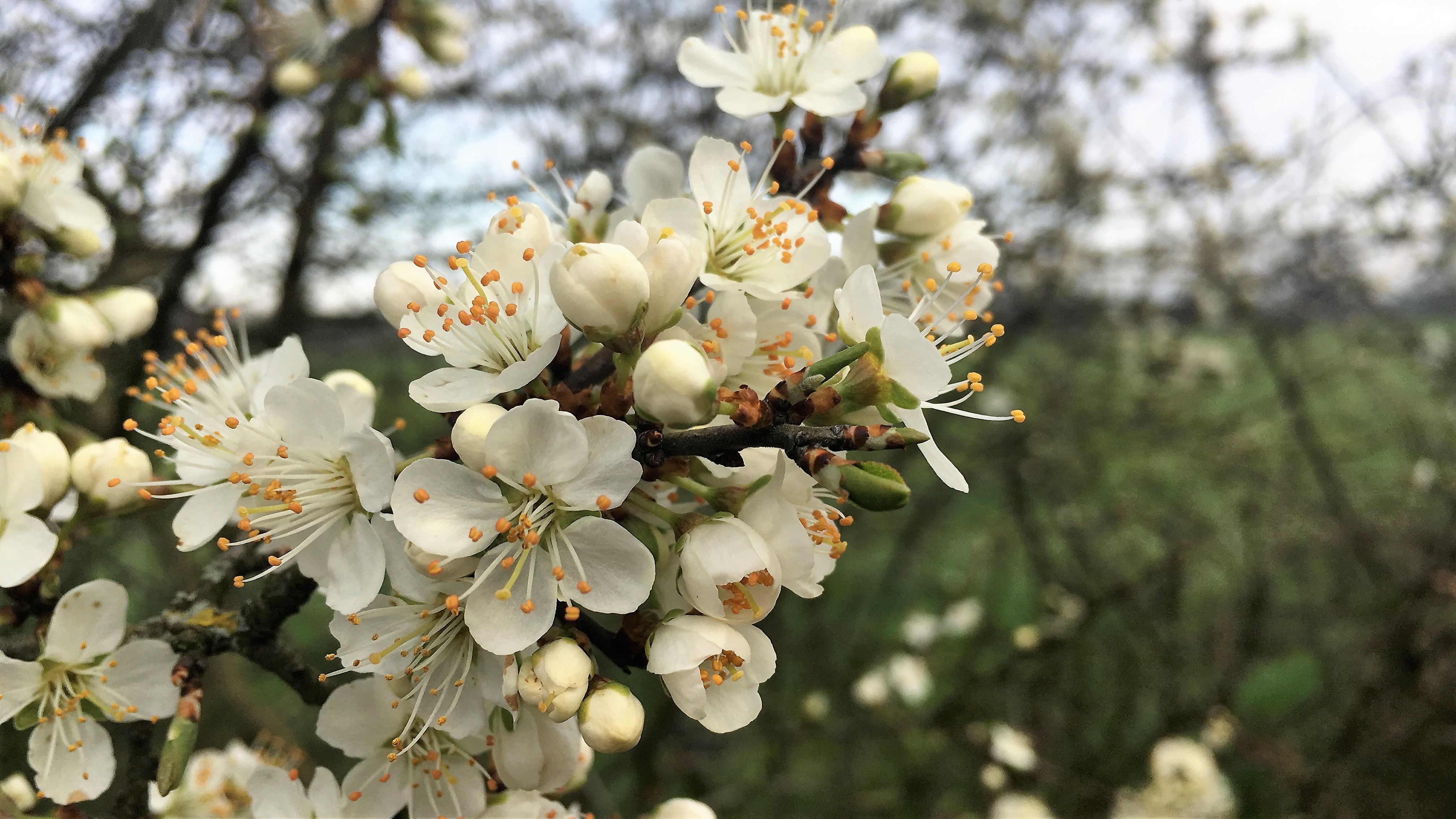 I’m Reading… “Humility Is The New Smart – Rethinking Human Excellence ...