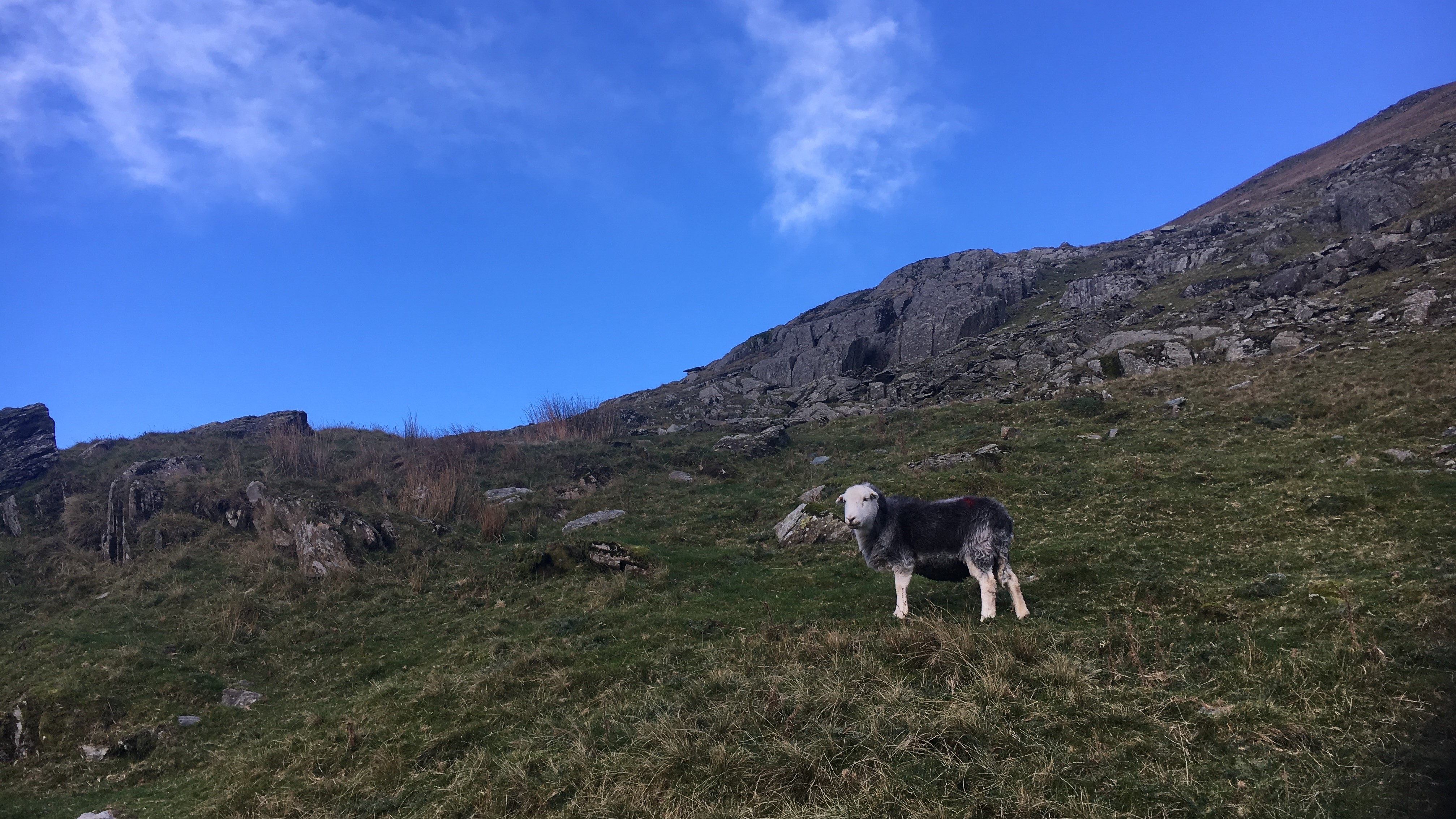 Process and Technology “Hefting” – What will it take for you to change ...